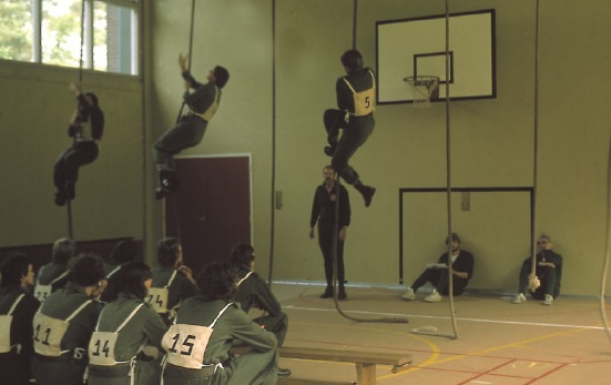 Fit for Action - Home